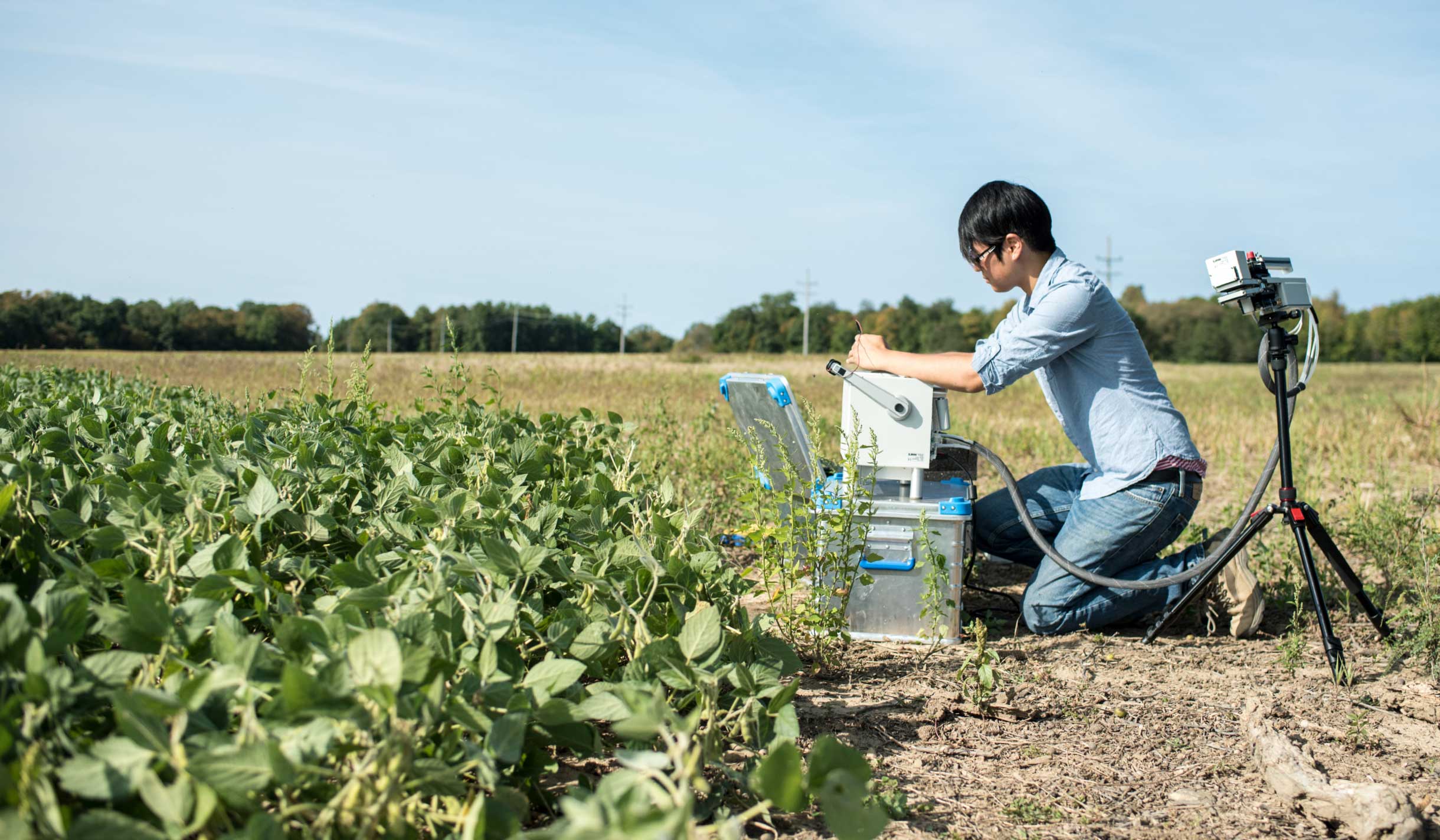 Home - Center for Research on Programmable Plant Systems