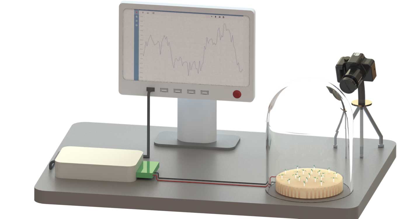 Research - Center for Research on Programmable Plant Systems