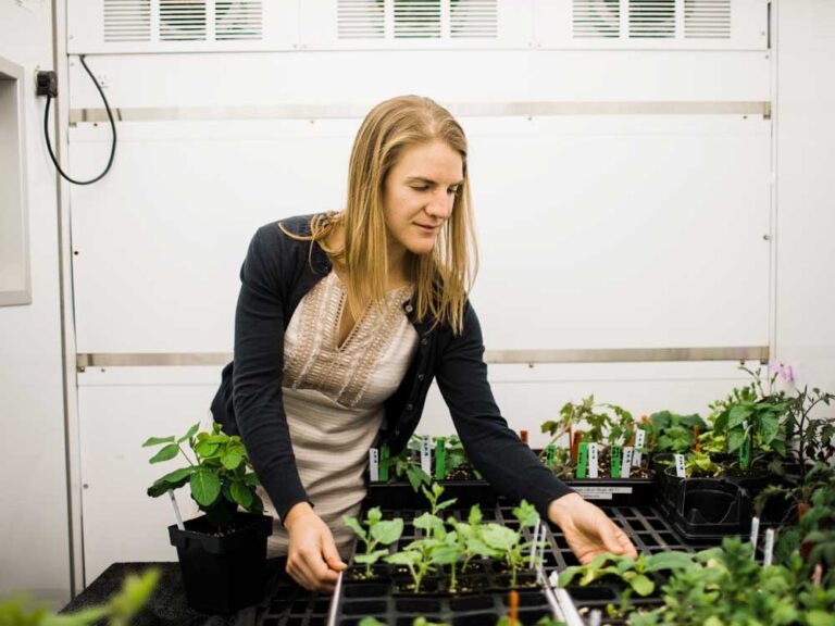 Plant Communications - Center for Research on Programmable Plant Systems