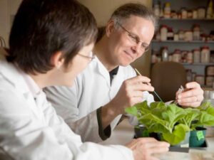 Plant Communications - Center for Research on Programmable Plant Systems