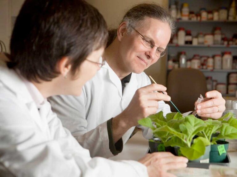 Plant Communications - Center for Research on Programmable Plant Systems