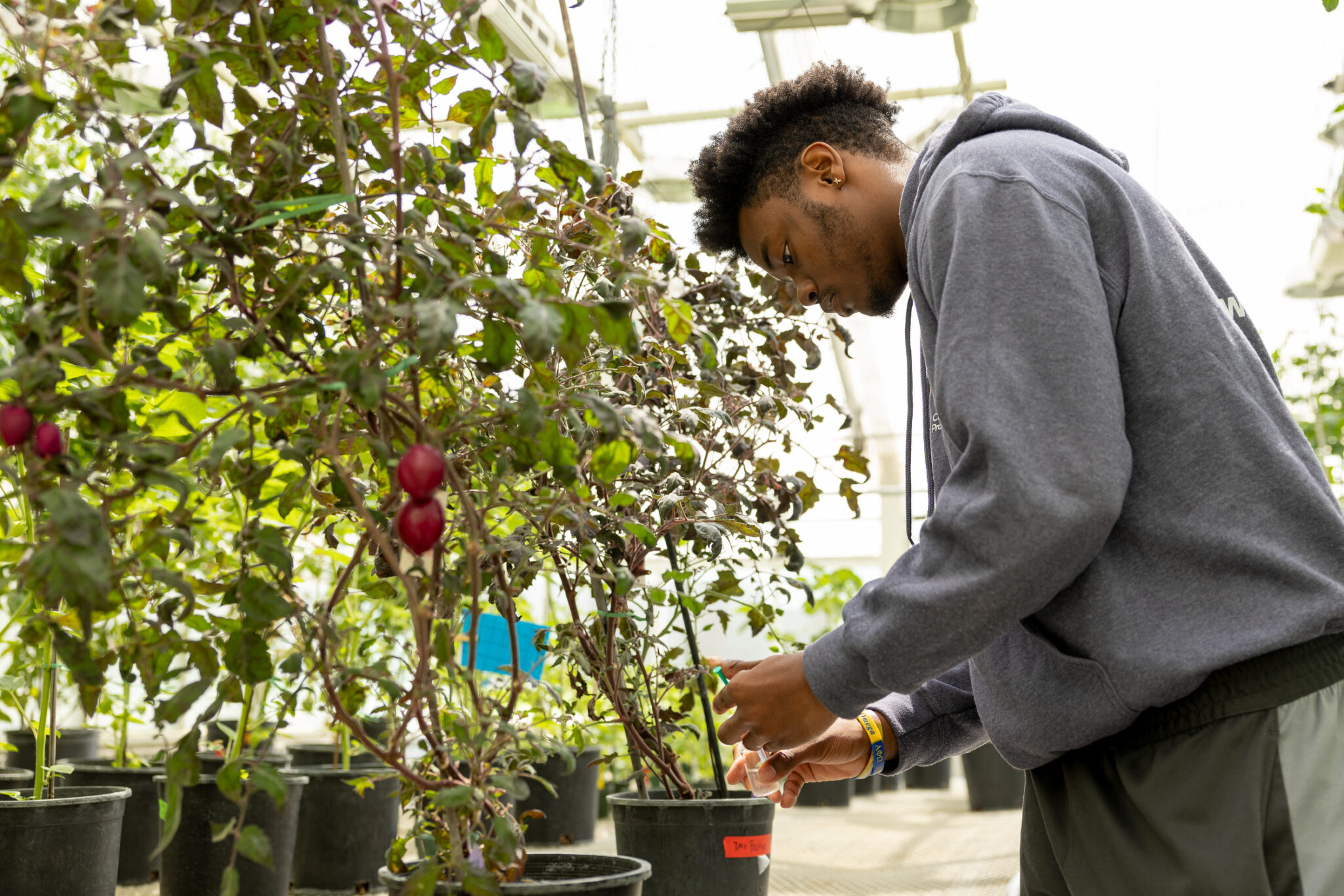 Kohl Perry - Center for Research on Programmable Plant Systems