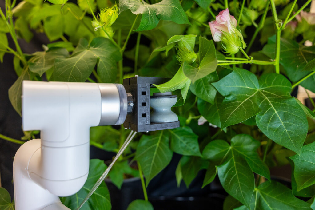 Home - Center for Research on Programmable Plant Systems